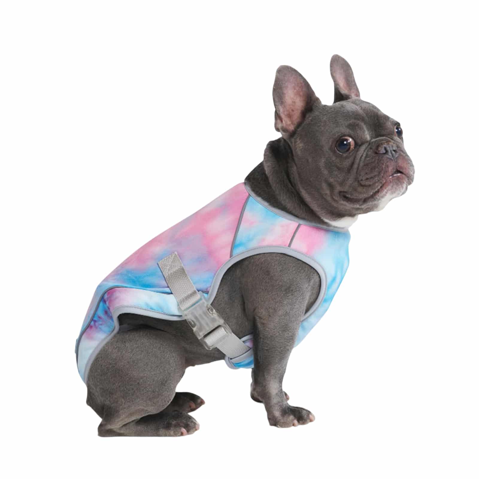 Best 5 Cooling Vests For Dogs Of 2026: Keep Your Pet Safe In Extreme ...